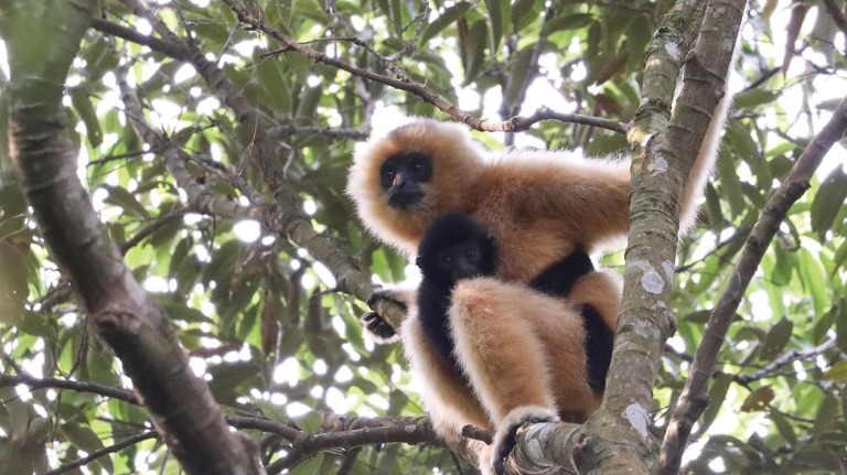 Fur, Feather, Fin—All of Us Are Kin